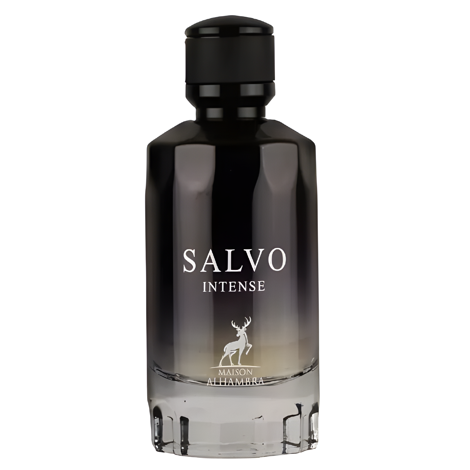 Maison Alhambra Salvo Intense Eau de Parfum for Men – Maison Alhambra USA